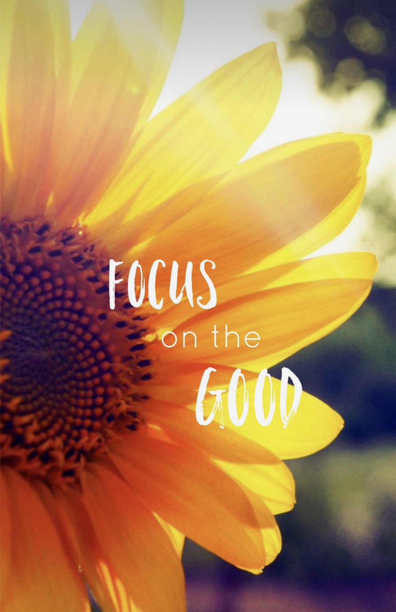 Good morning – Love, Life, Happiness & More