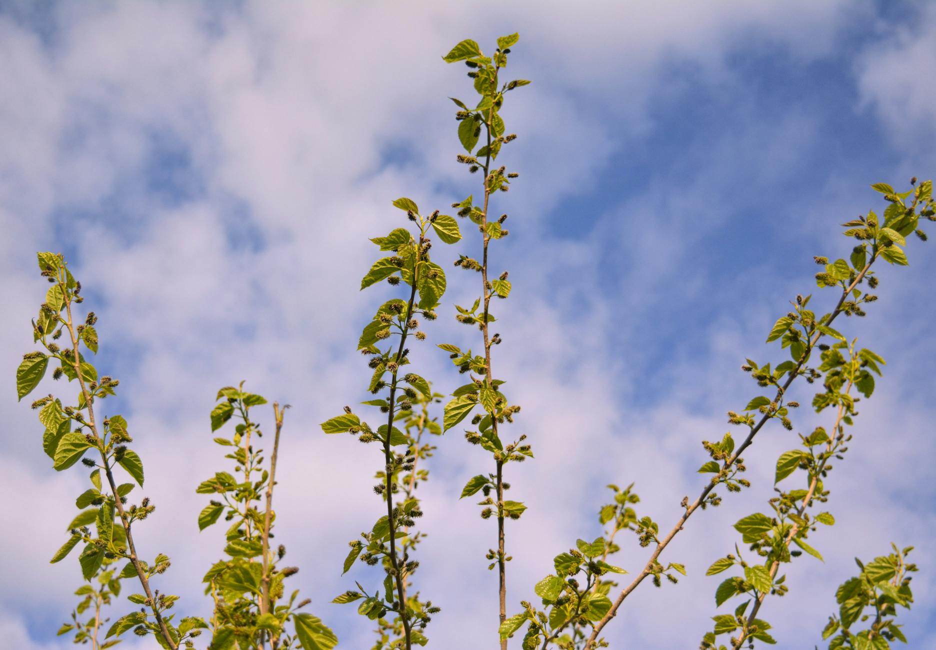 10 Daily reminders – Love, Life, Happiness & More