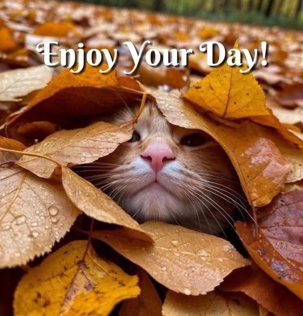 Happy FriYay – Love, Life, Happiness & More