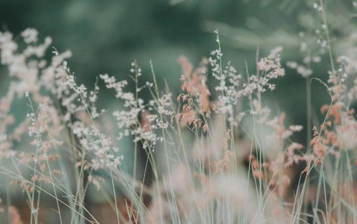 Late night message – Love, Life, Happiness & More